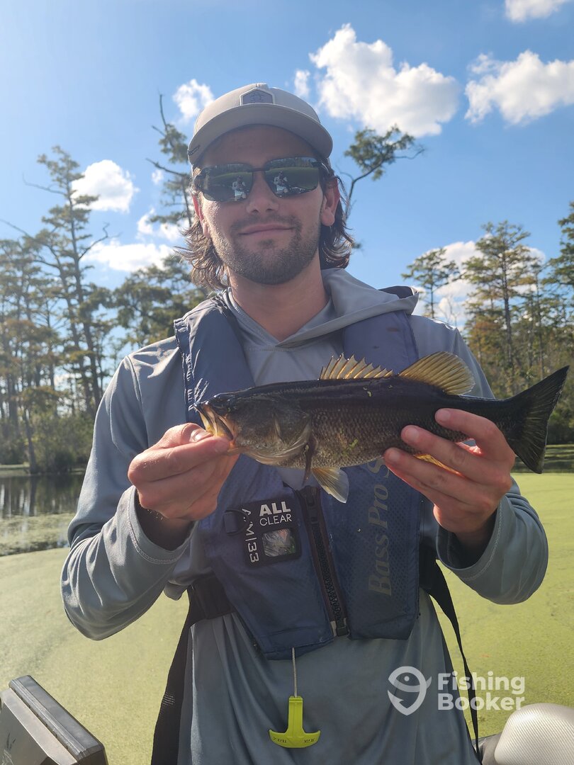 Daily Currituck Sound Fishing Reports (September 2025)
