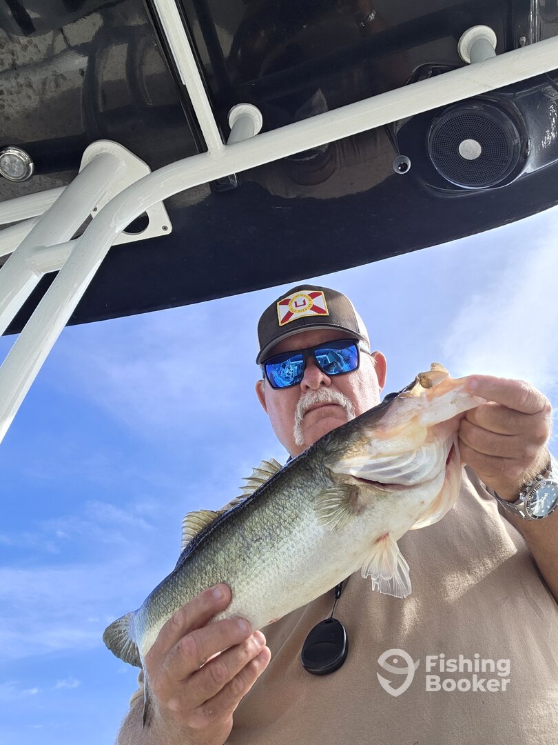 Lake istokpoga - Clewiston Fishing Report - FishingBooker